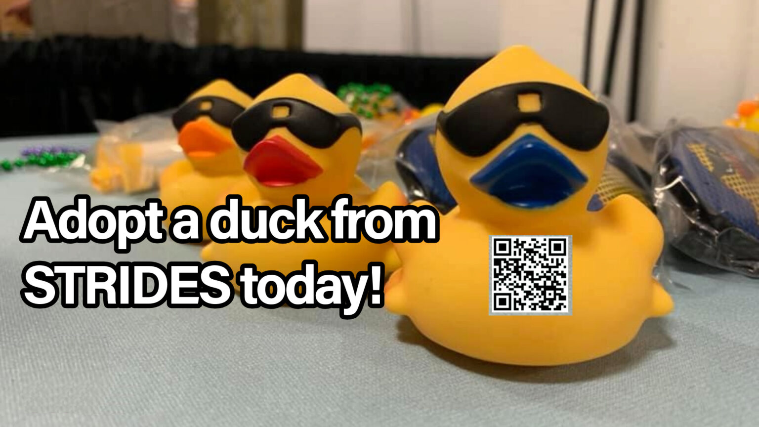 STRIDES Tutoring – STRIDES Individualized Tutoring – Educational Progress