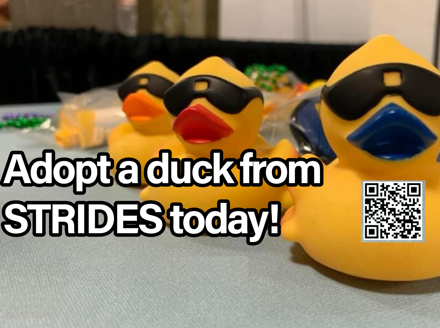 STRIDES Tutoring – STRIDES Individualized Tutoring – Educational Progress